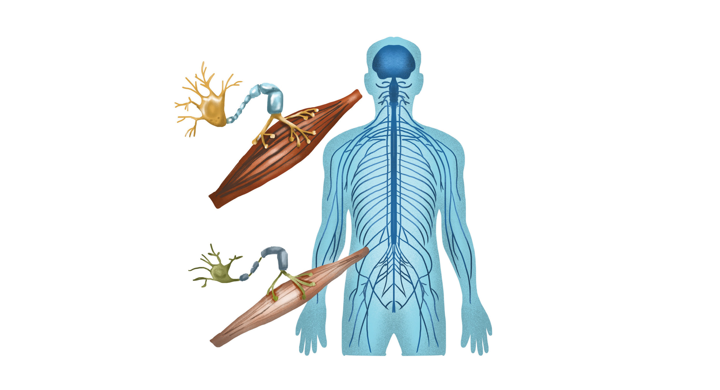 Clinical trials offer hope for ALS patients | UCI Health | Orange ...