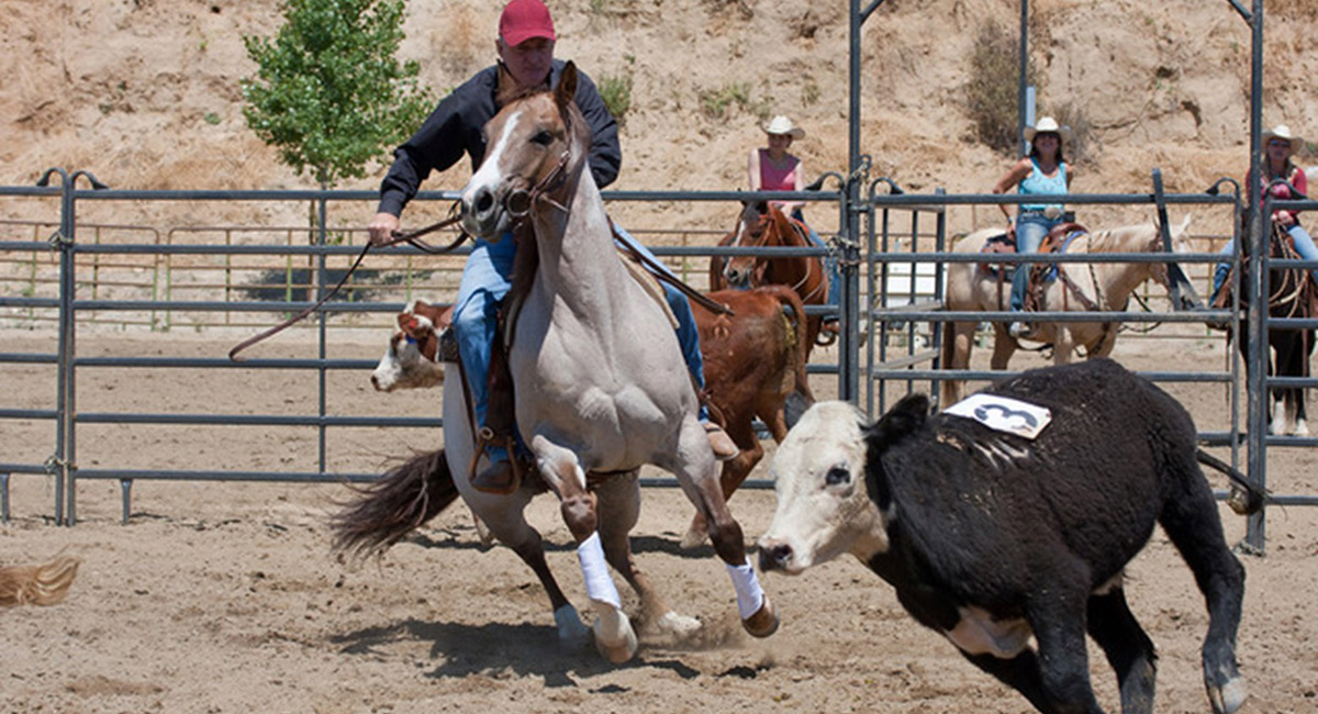 Riding Tall A Decade After Prostate Surgery Still Prostate Cancer